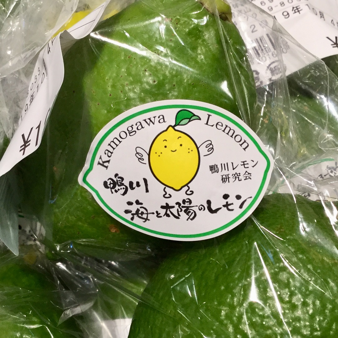 まろやかな酸味とコクが魅力です 【鴨川 海と太陽のレモン】 里のmuji みんなみの里